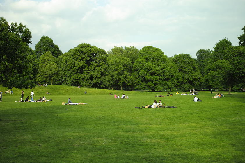 Gobotree - image from The United Kingdom London park during spring day